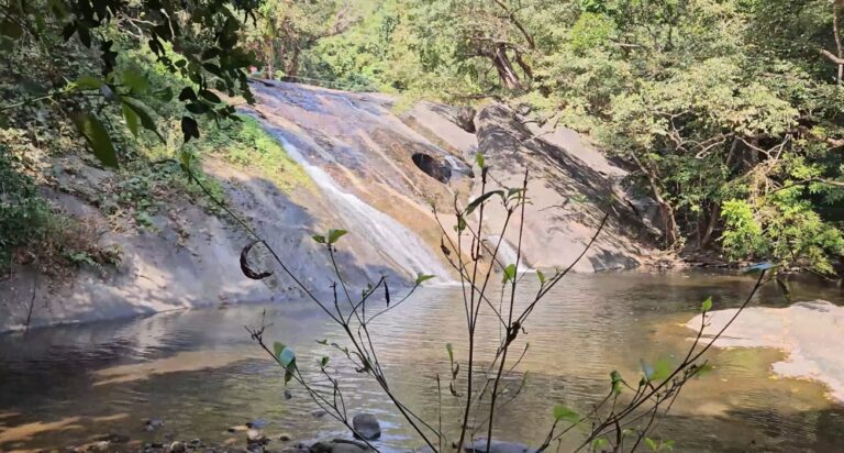 Dhoni Waterfalls - Absolutely Worthful to 8 Kilometers trekking to ...